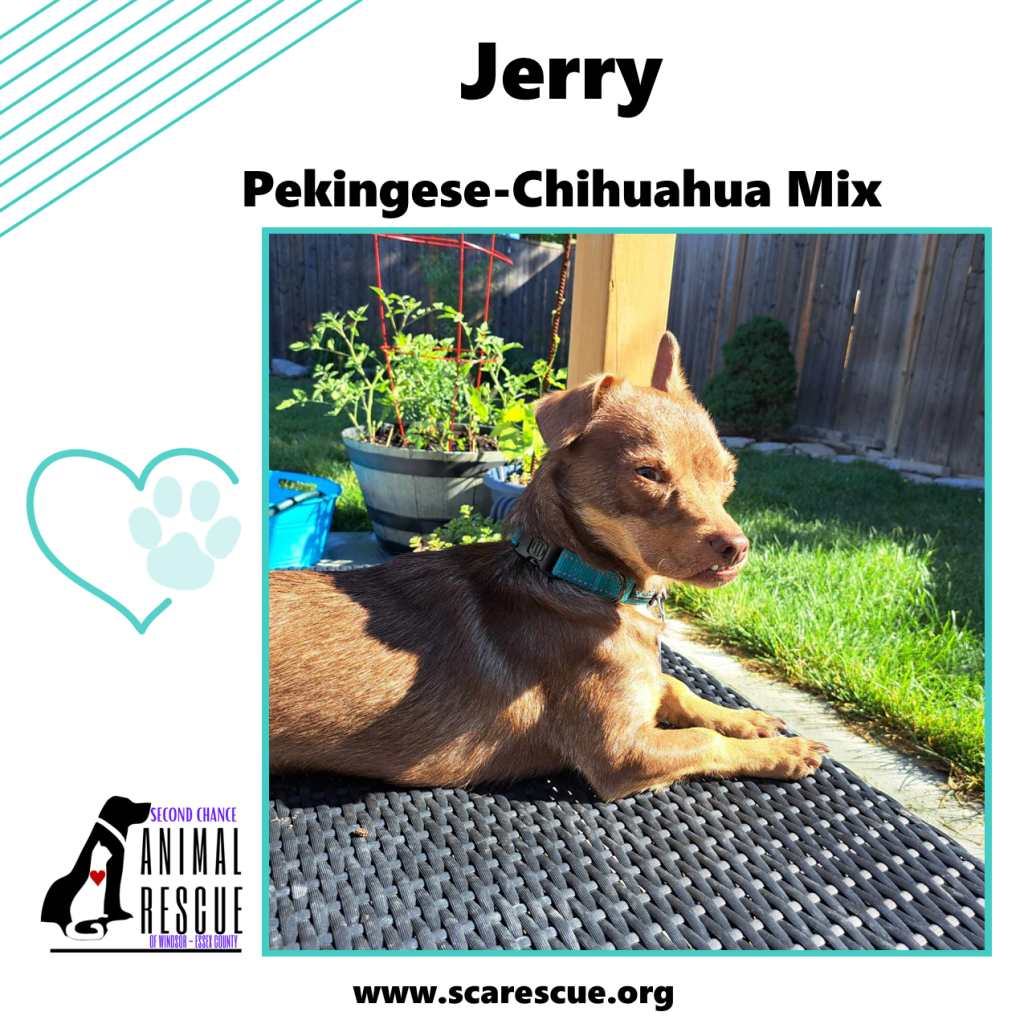 Jerry